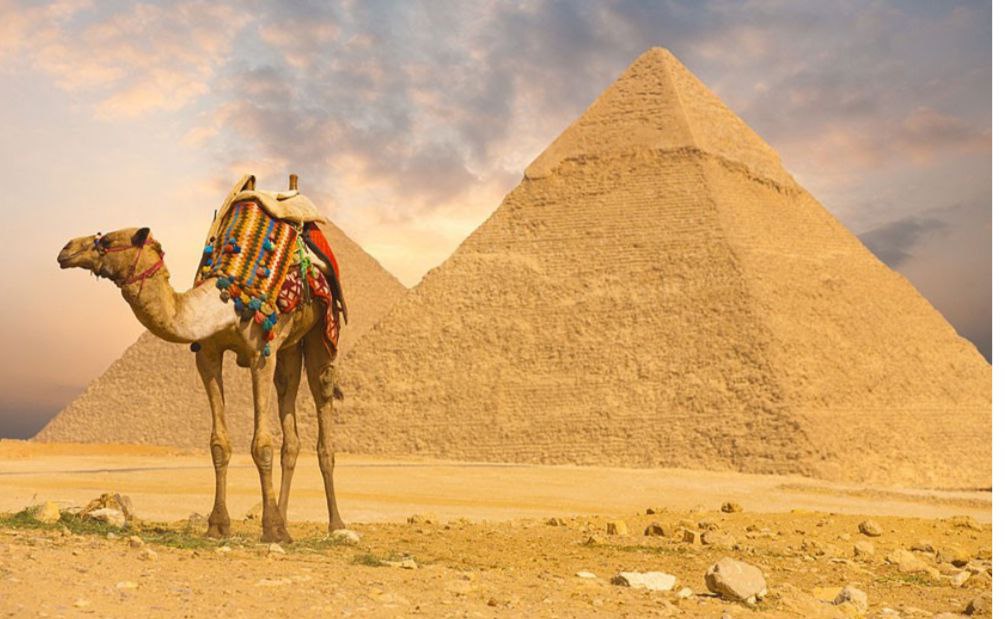 Travel to Egypt all inclusive, paid minibar - UT